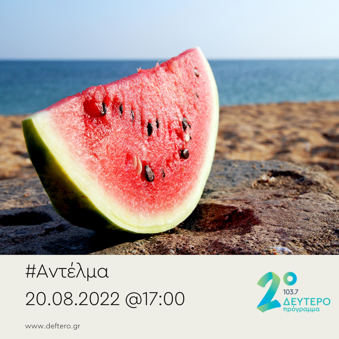 “Αντέλμα” με τον Στάθη Δρογώση | 20.08.2022 – ΕΡΤecho