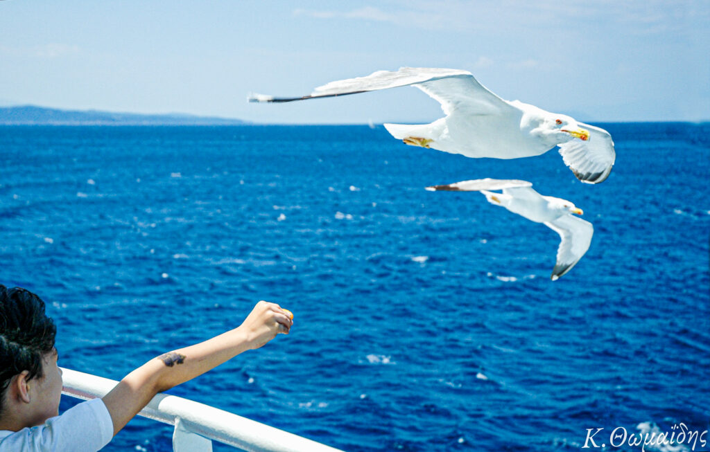 Πλανόδιες Μουσικές με τον Κώστα Θωμαΐδη | 13.11.2025 - ERT εcho